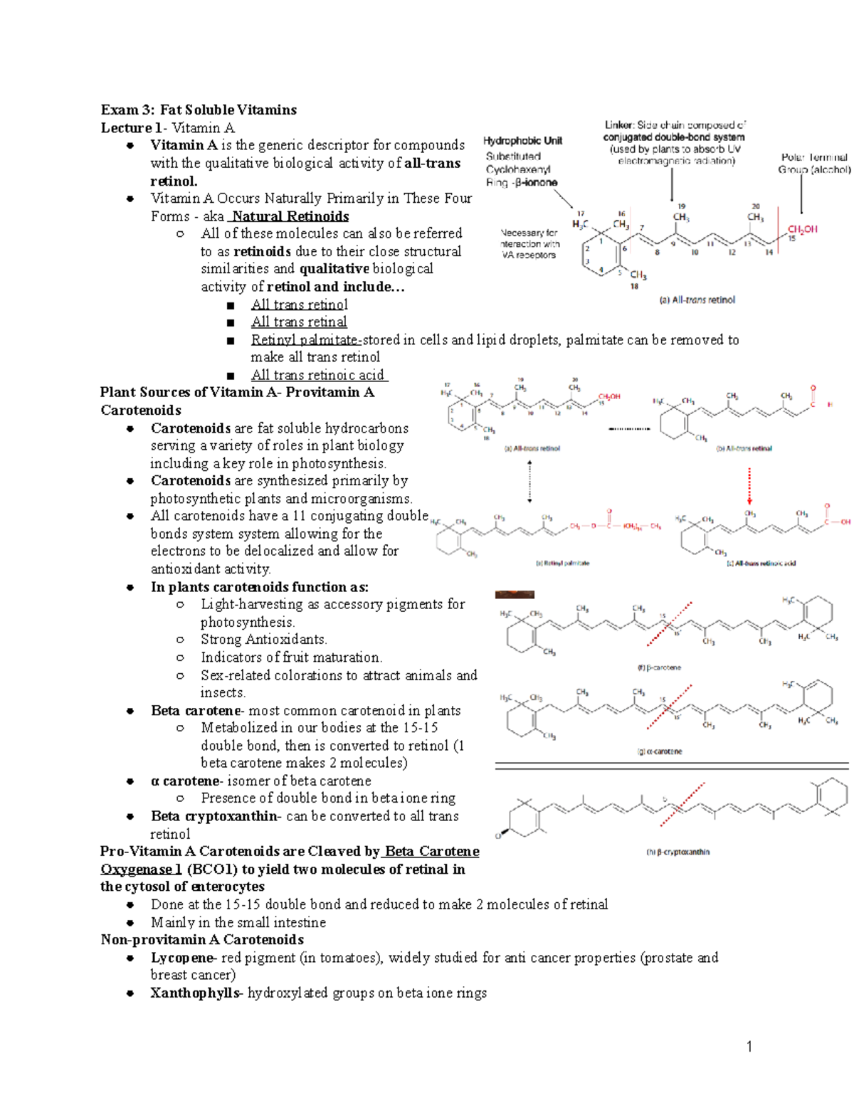 Advanced Nutrition 2 Spring 2020 Exam 3 - Exam 3: Fat Soluble Vitamins ...