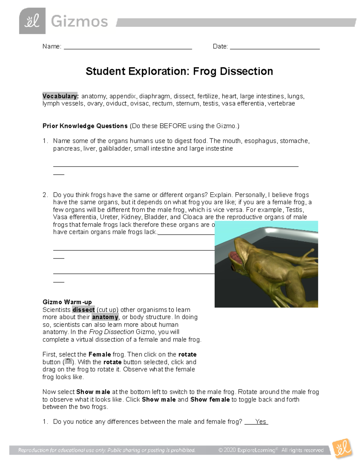 Virtual Lab 3 -Frog Dissection SE - Name: Date: Student Exploration ...
