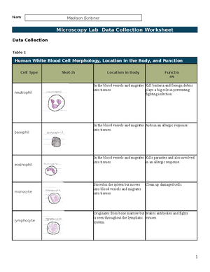 BIO-181 Week 1 Homework - ACTIVITY 1 NAME: Madison Scribner__ Chapter 1 ...