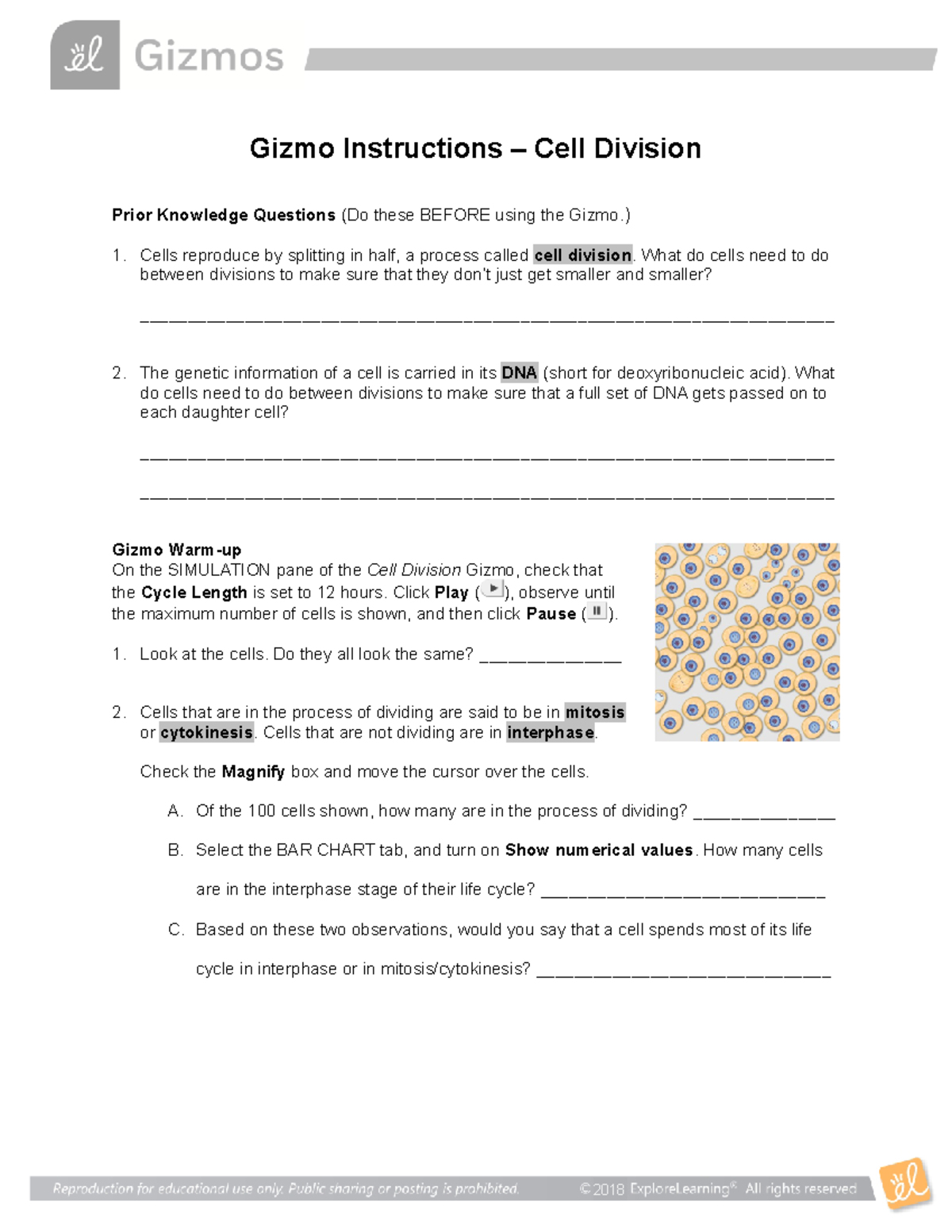 BIO100 - Lab 5 - Gizmo Instructions - Gizmo Instructions – Cell ...