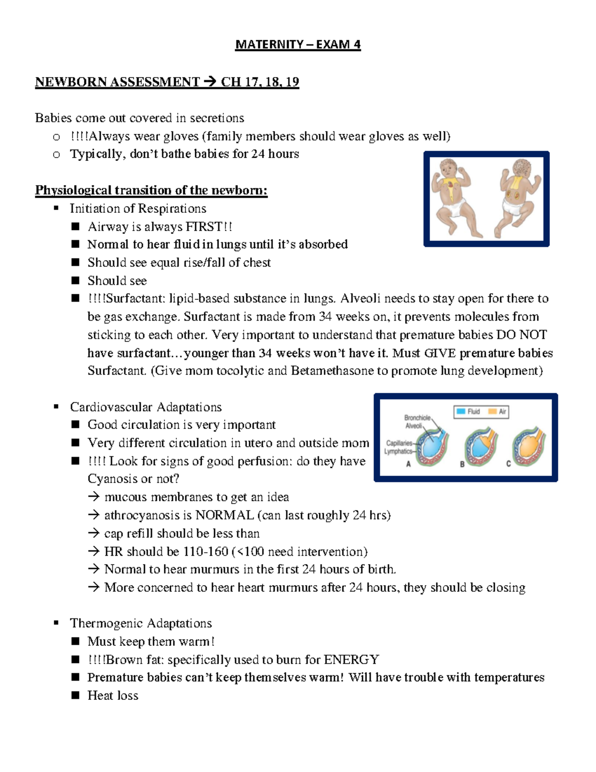 Maternal 3500-Exam 4 - MATERNITY – EXAM 4 NEWBORN ASSESSMENT → CH 17 ...
