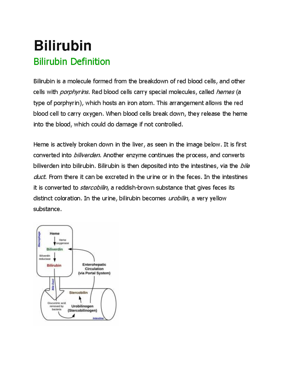 Bilirubin Bilirubin - Bilirubin Bilirubin Definition Bilirubin is a ...