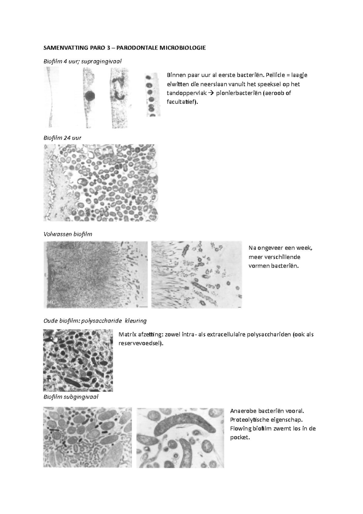 Samenvatting PARO 3 - Parodontale microbiologie - SAMENVATTING PARO 3 ...