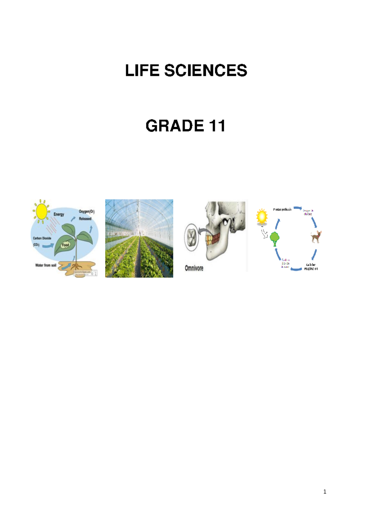 Animal nutrition 5 - LIFE SCIENCES GRADE 11 TOPIC: Animal nutrition ...