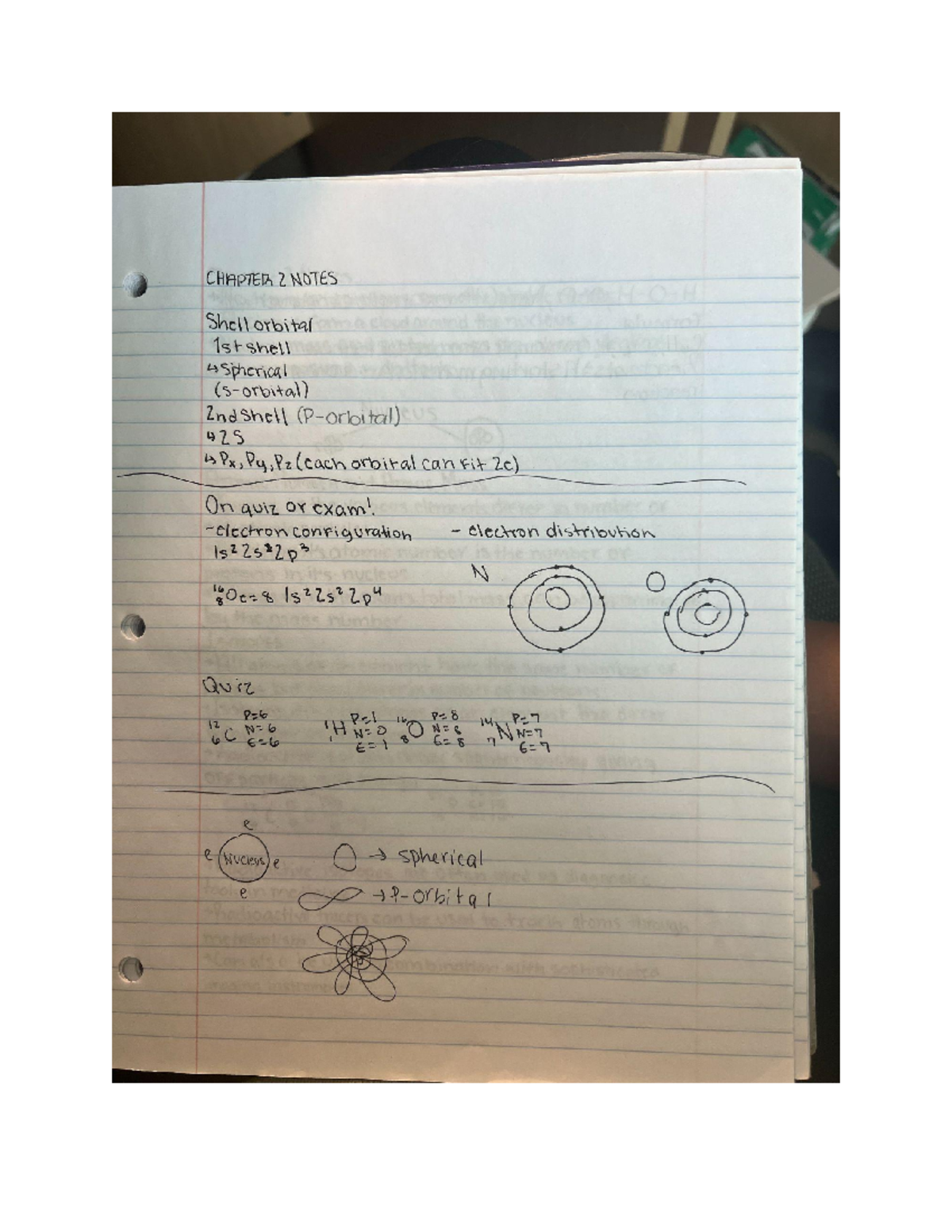 Bio 121 chapter 2 - BIO 112 - Studocu