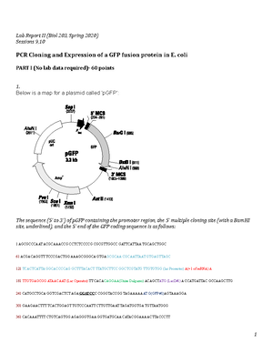 Lab report 2 - Lab Report II (Biol 203, Spring 2022) Part 1: 1 ...