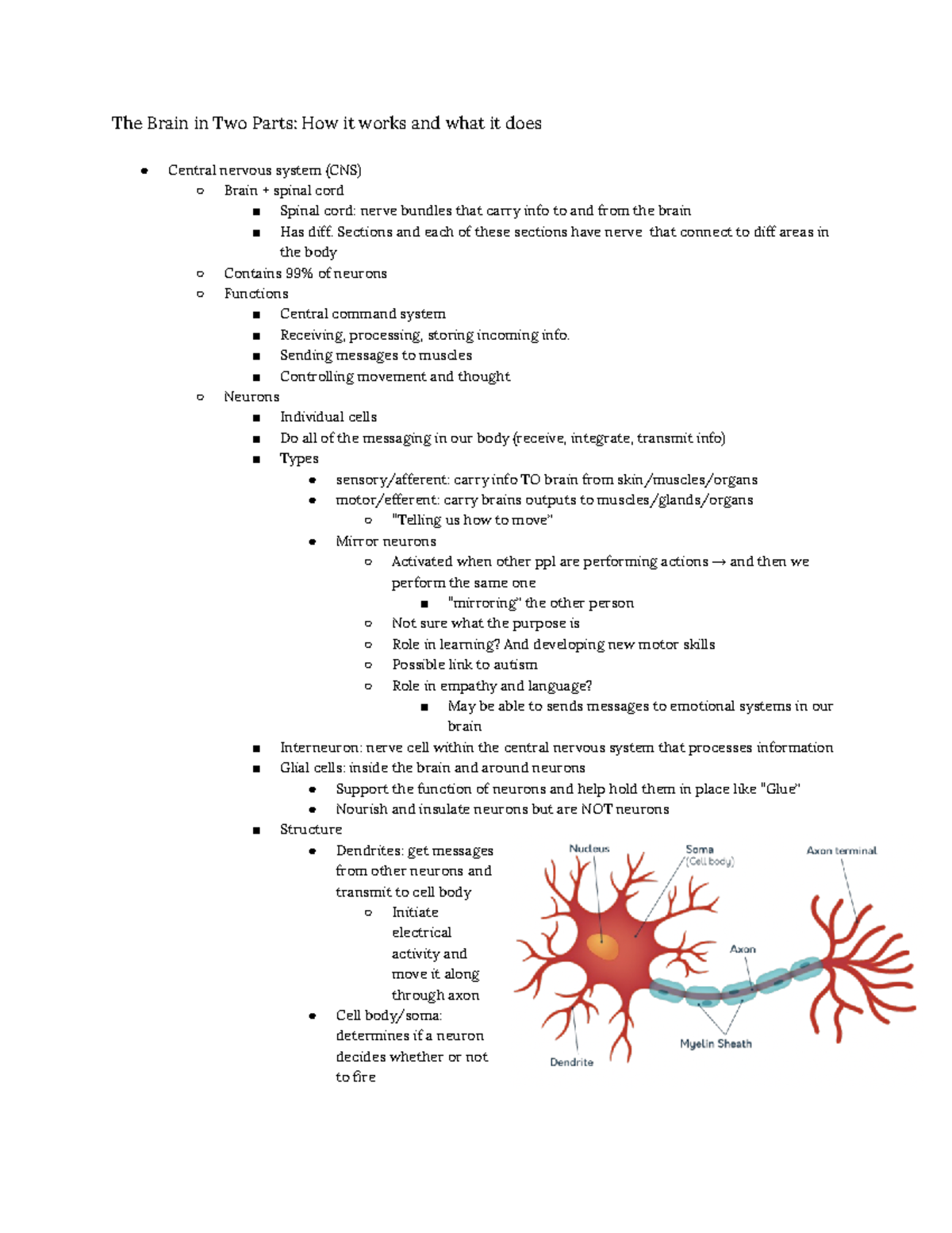 Pyschology 111 Week 4 - The Brain in Two Parts: How it works and what ...