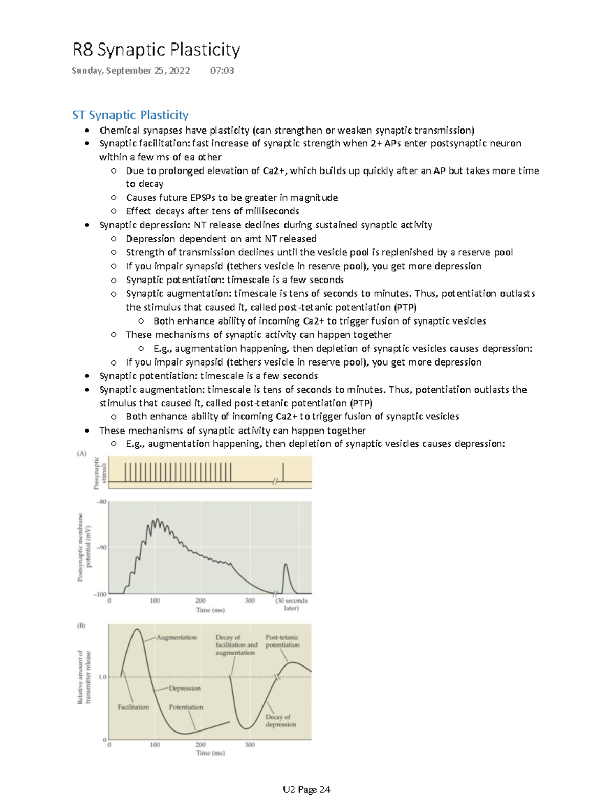 Lecture 8 Synaptic Plasticity - ST Synaptic Plasticity Chemical ...