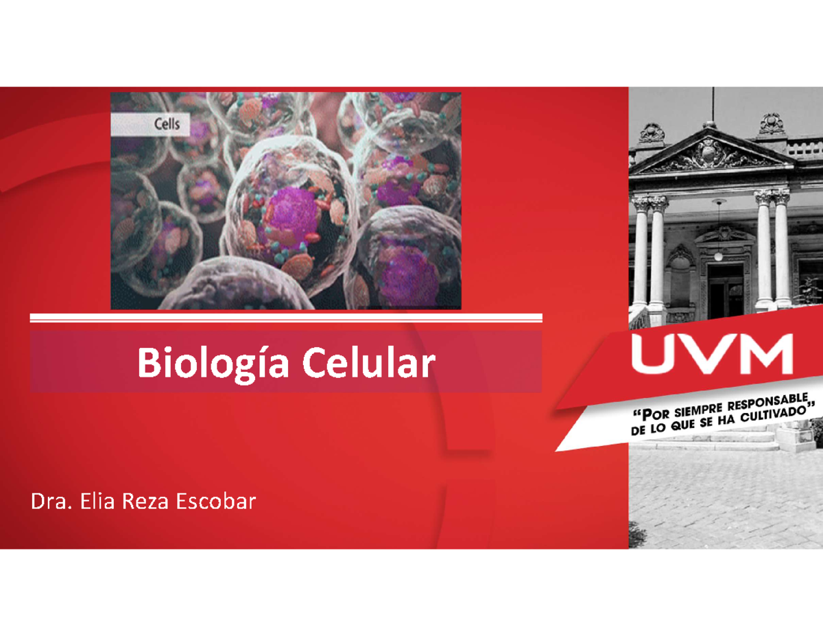U3-U4-Bio Cel - Presentacion de la unidad 3 y 4 de Biologia celular - Biología Celular Dra. Elia ...