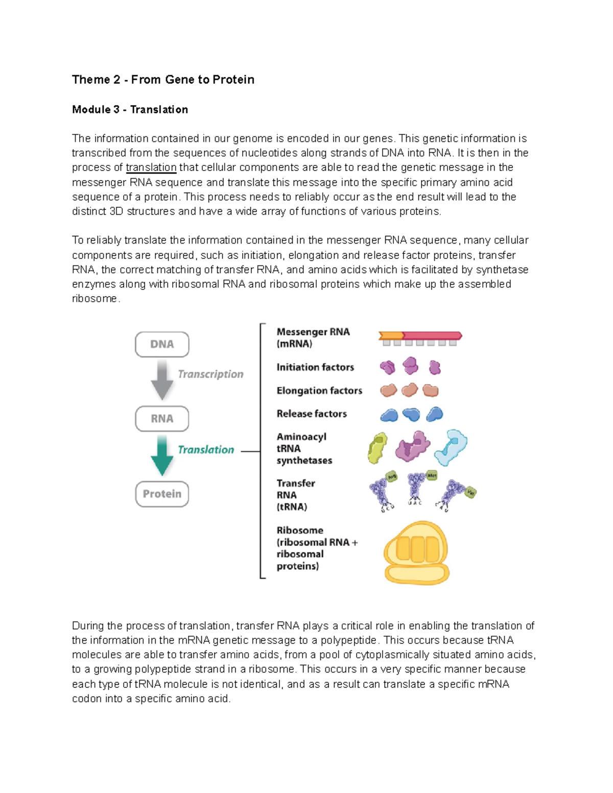 BIO 1A03 Midterm 2 Notes - Theme 2 - From Gene to Protein Module 3 ...