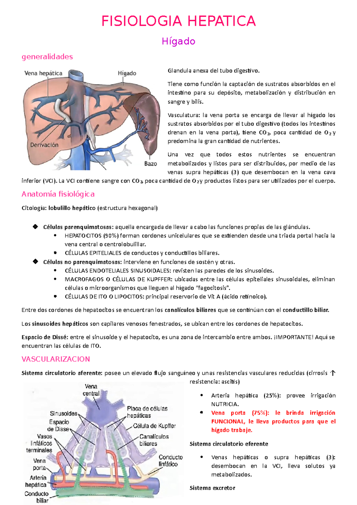 Fisiología hígado - Resumen - FISIOLOGIA HEPATICA Hígado generalidades Glandula anexa del tubo ...