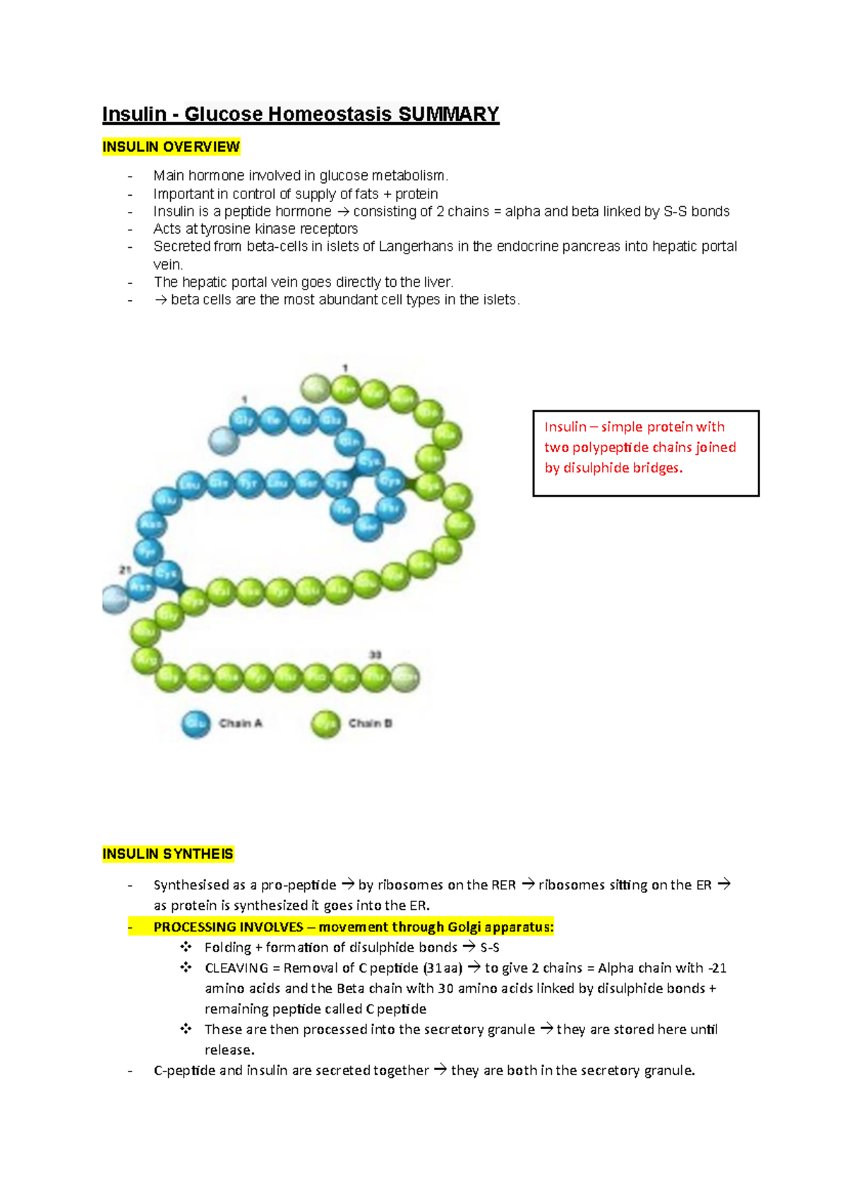 Insulin - Glucose Homeostasis Summary pdf - Insulin - Glucose ...