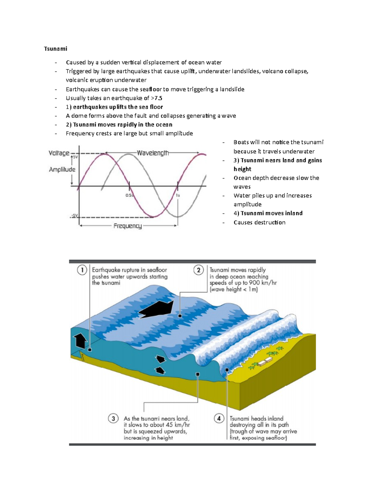 Tsunami - Summary Global Environmental Hazards - Tsunami Caused a ...