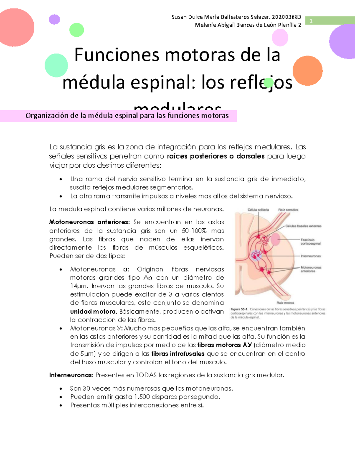 Capitulo 55 - Fisiologia cap 55 - 1 Melanie Abigail Bances de León Planilla 2 Funciones motoras ...
