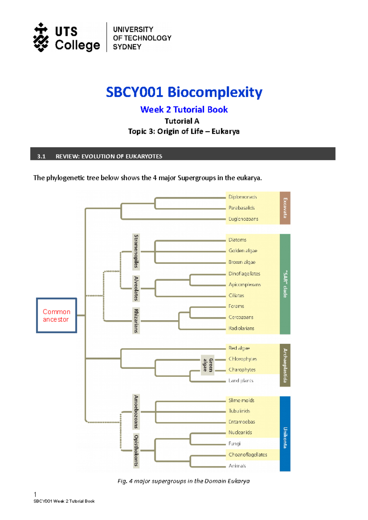 SBCY001 Week 2 Tutorial Book final - SBCY001 Biocomplexity Week 2 ...