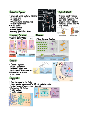 CNS development - Professor: Dr. Eade - BIOL 217 - Studocu