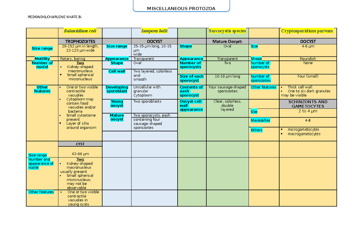 Miscellaneous Protozoa - REDONDO,CHARLENE KHATE B. Balantidium coli ...