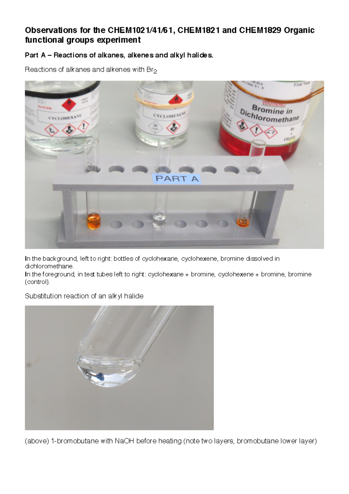 Organic functional groups observations - Observations for the CHEM10 21 ...