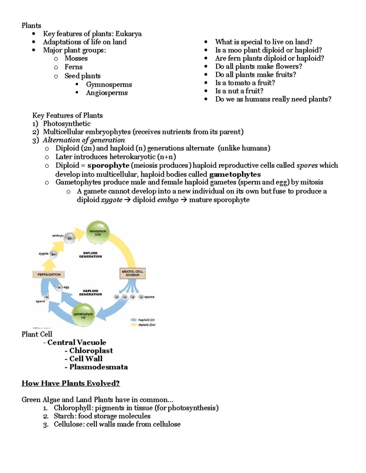Plants - Summary Modern biology - Plants Key features of plants ...