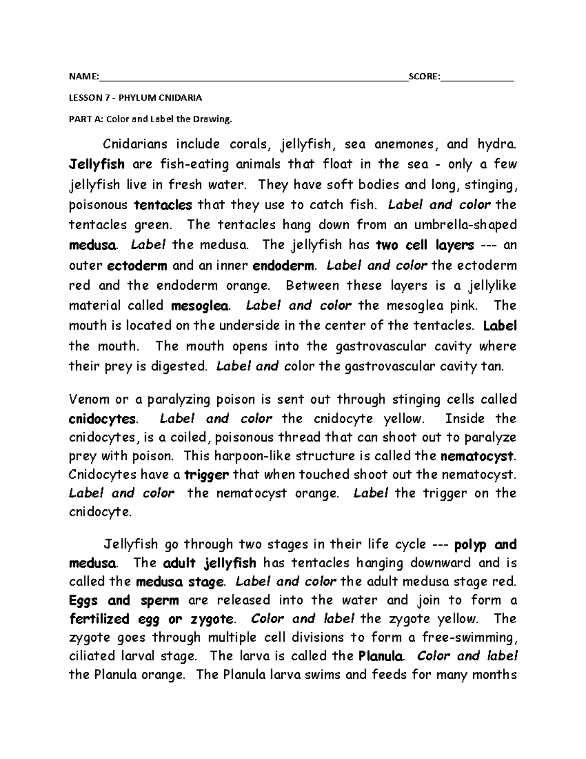 Lesson 7- Phylum Cnidaria Activity - Bachelor of Science in Biology ...