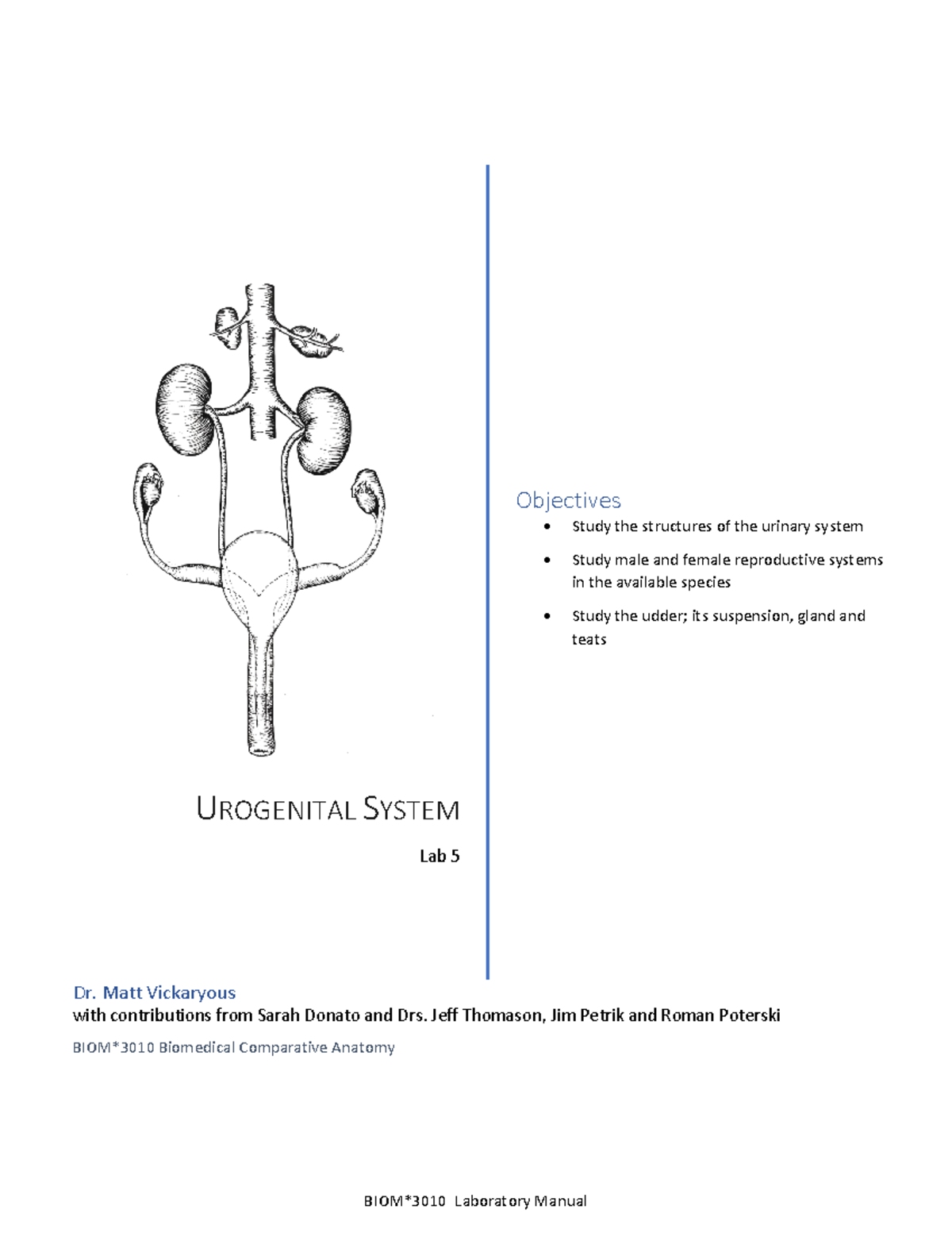 Urogenital System - MICR2420 Lecture 14 (Microbial Ecology) - BIOM*3010 ...