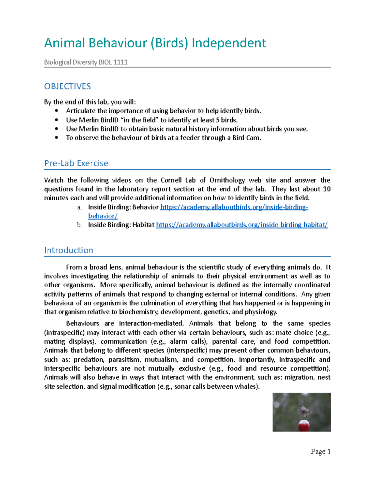 Animal Behaviour - the is a lab for Cell Biology course - Animal ...