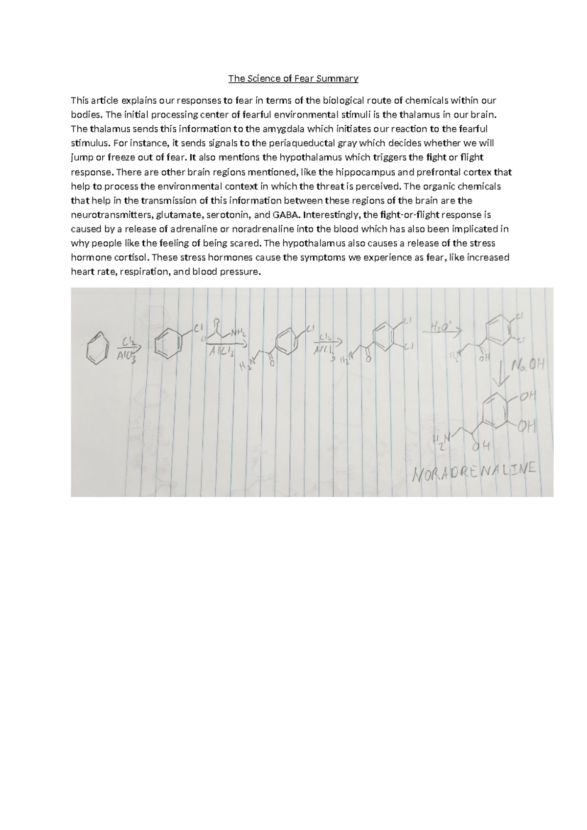 Extra credit assignment-The science of fear - The Science of Fear ...