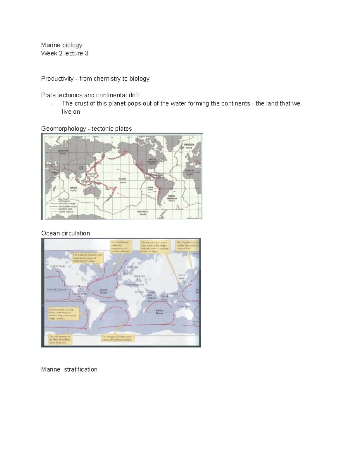 Marine biology week 2 lecture 3 - Marine biology Week 2 lecture 3 ...