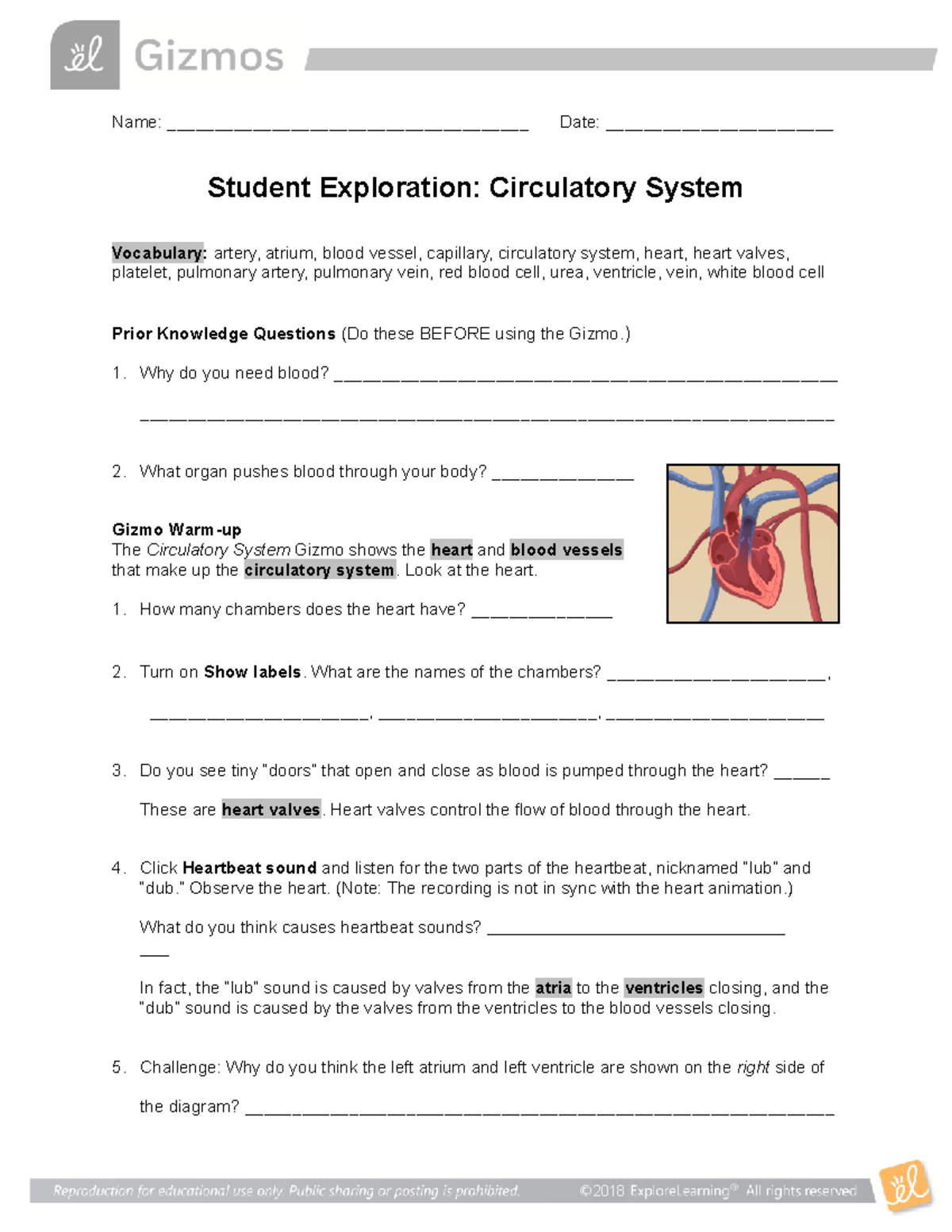 Circulatory System SE - biology - Name ...