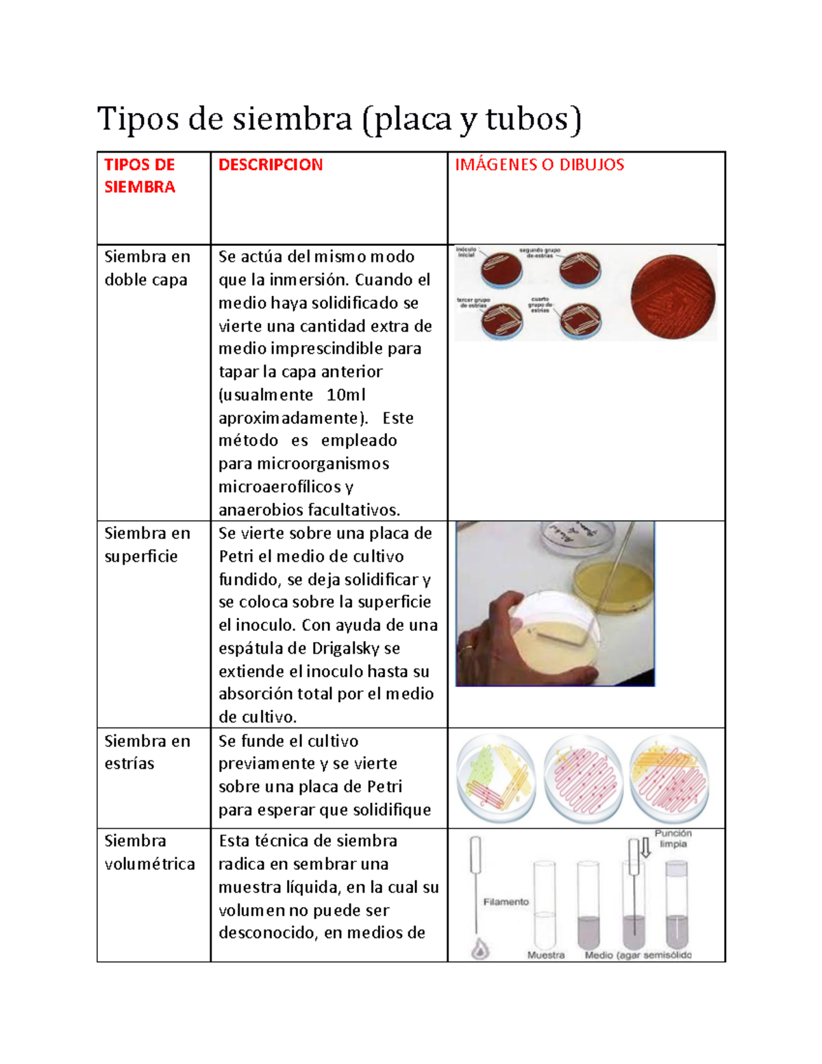 Tipos de siembra - Cuando el medio haya solidificado se vierte una ...