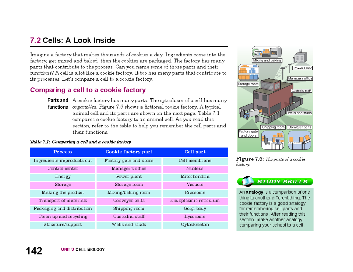 Cell structure and organelles in general biology - Senior High School ...
