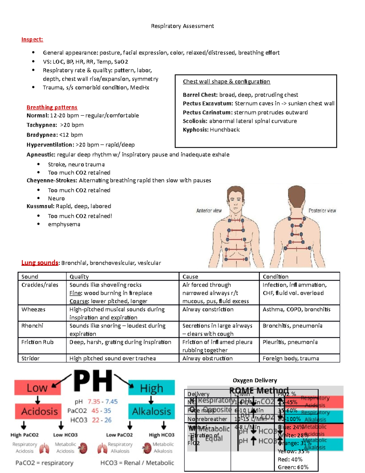 Cardio - Respiratory Assessment - Respiratory Assessment Inspect ...
