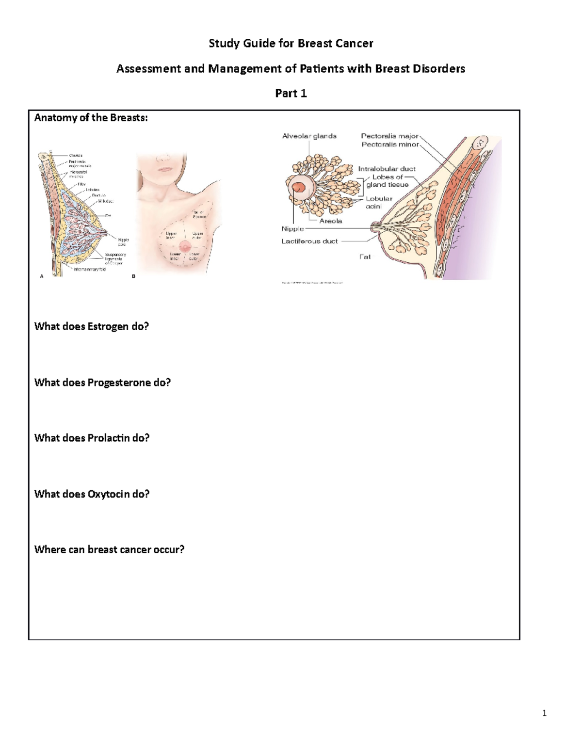Study Guide for Breast Cancer - Study Guide for Breast Cancer ...