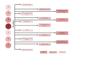 Macros Visual Basica PARA Macros - MANUAL B¡SICO PARA EMPEZAR A TRABAJAR CON MACROS DE VISUAL ...