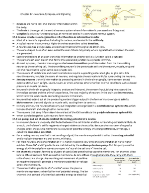 Immunity Pogil Answer Key - Studocu