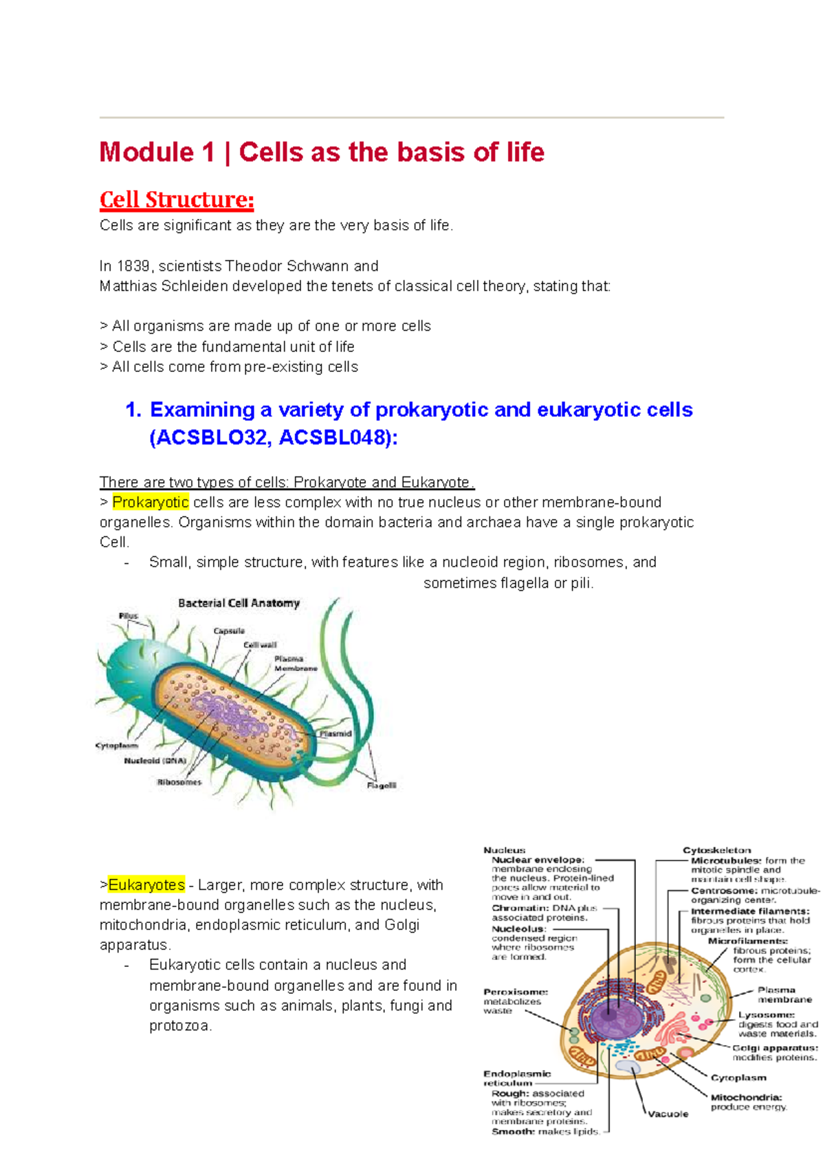 Syllabus version Biology Notes 2 - Module 1 | Cells as the basis of ...