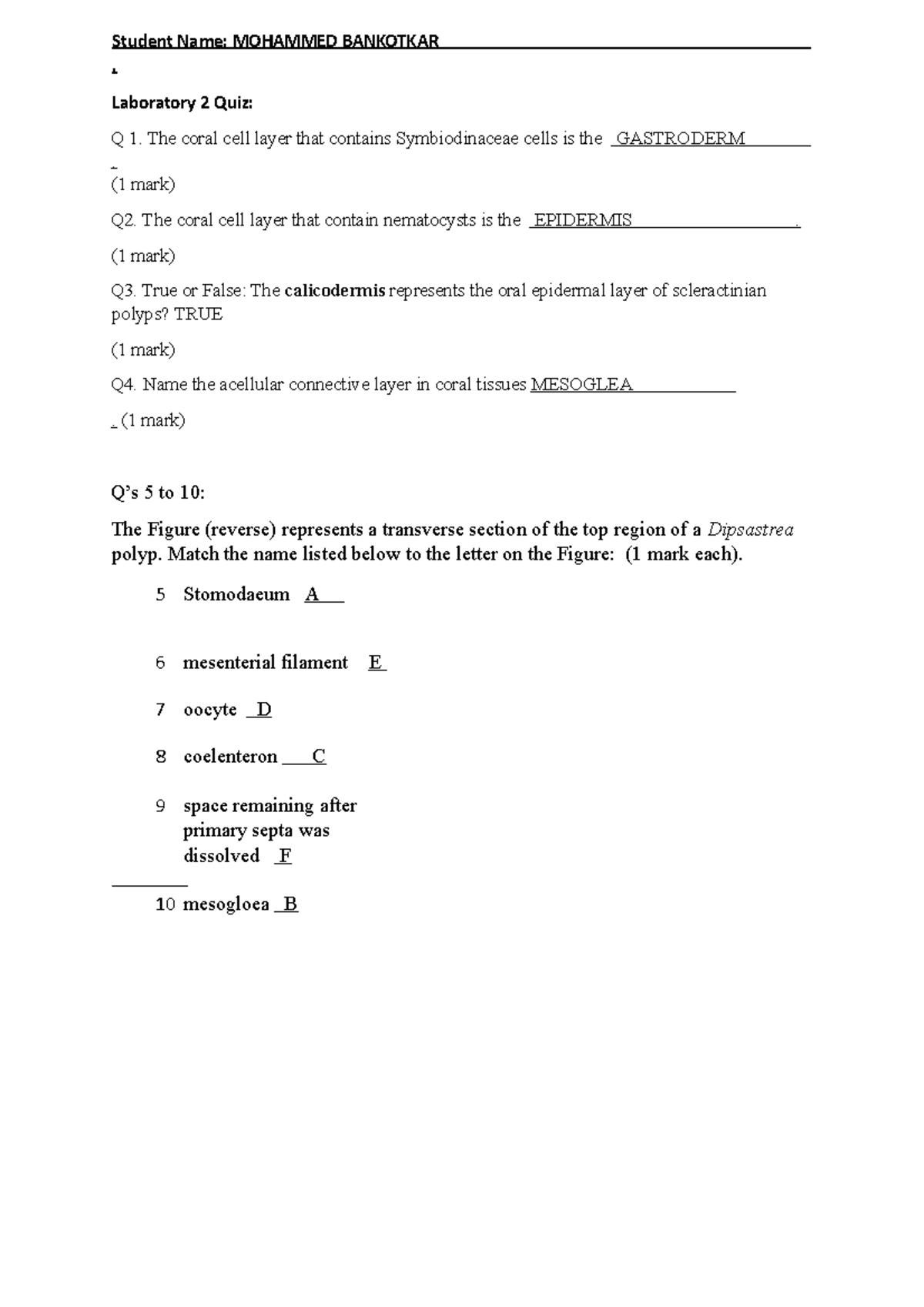 Laboratory 2 Quiz V2 - Practical quiz answers MB5400 - Student Name: MOHAMMED BANKOTKAR ...