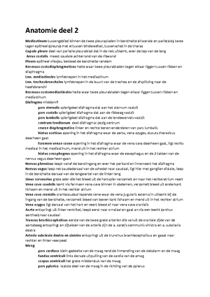 DI1 PR10 dissectie buikholte - PR 10 : Anatomie Thorax, Craniale deel ...