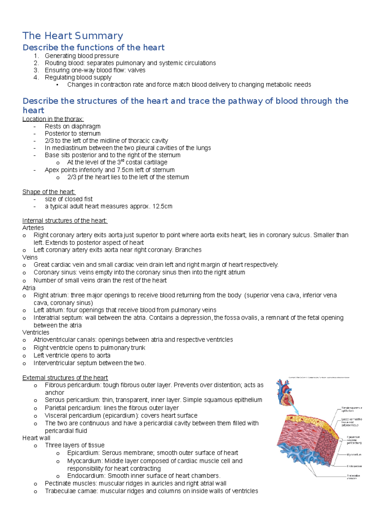 The Heart Summary - The Heart Summary Describe the functions of the ...
