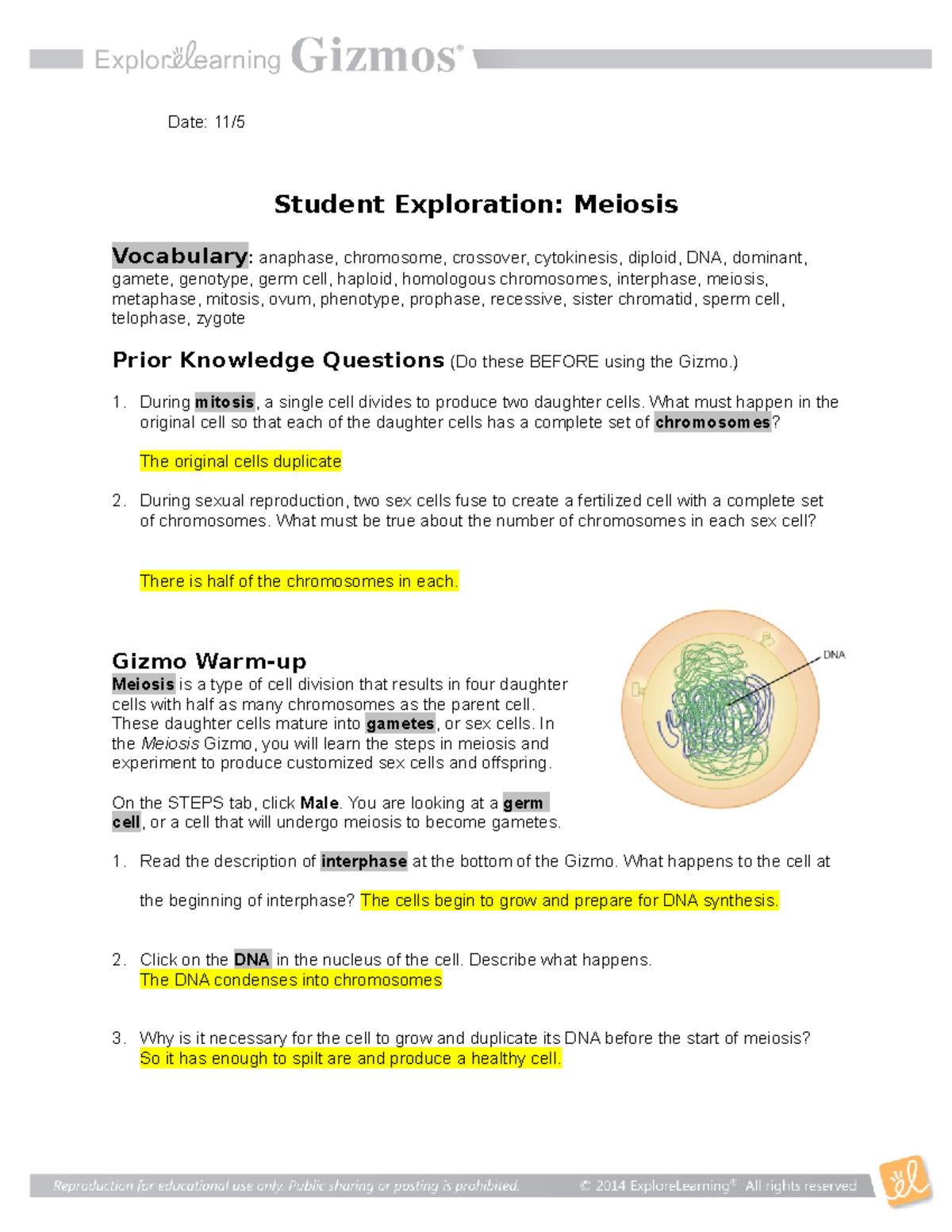 Meiosis SE - Deprecated API usage: The SVG back-end is no longer maintained and may be removed ...
