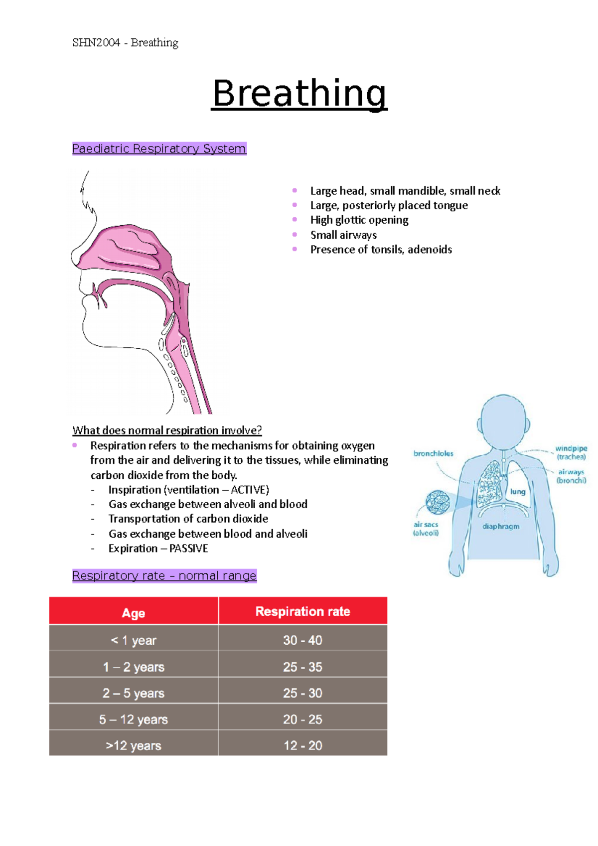 Breathing Management - Breathing Paediatric Respiratory System Large ...
