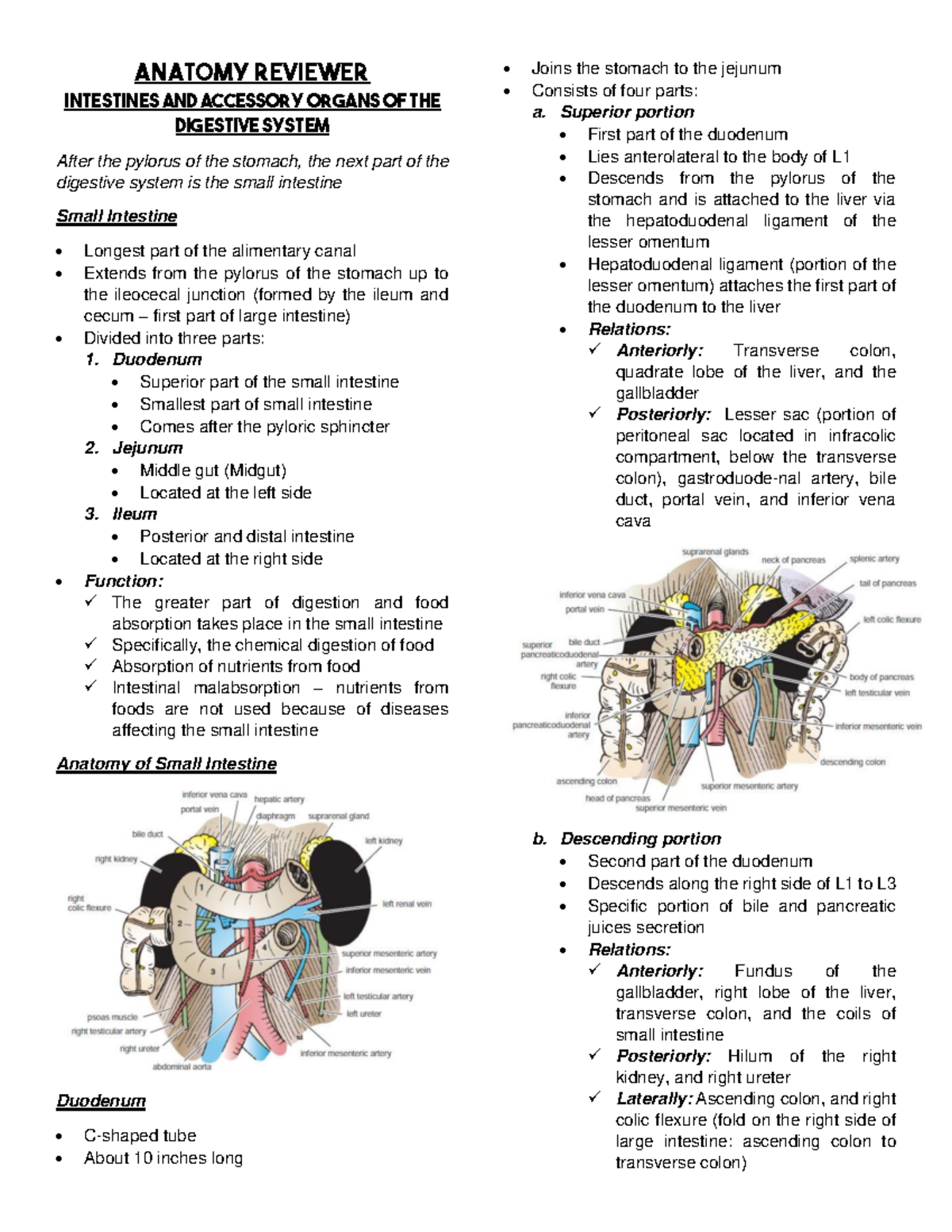 Anatomy Reviewer (Intestines and Accessory Organs of the Digestive ...