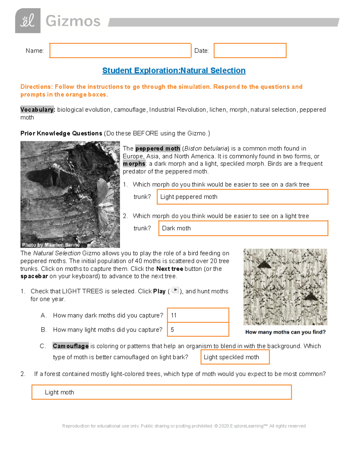 Natural Selection Gizmo (Student Google DOCS) - Name: Date: Student ...