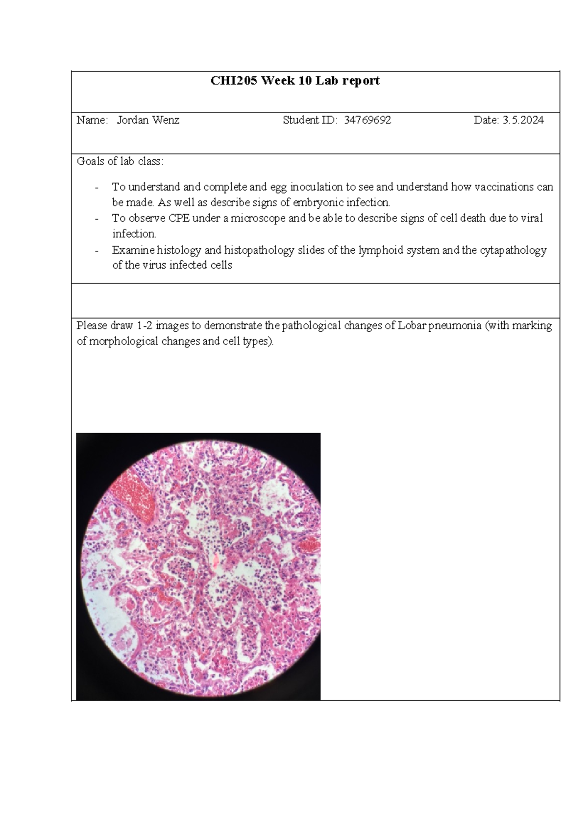 CHI205 Week 10 Lab report - CHI205 Week 10 Lab report Name: Jordan Wenz Student ID: 34769692 ...