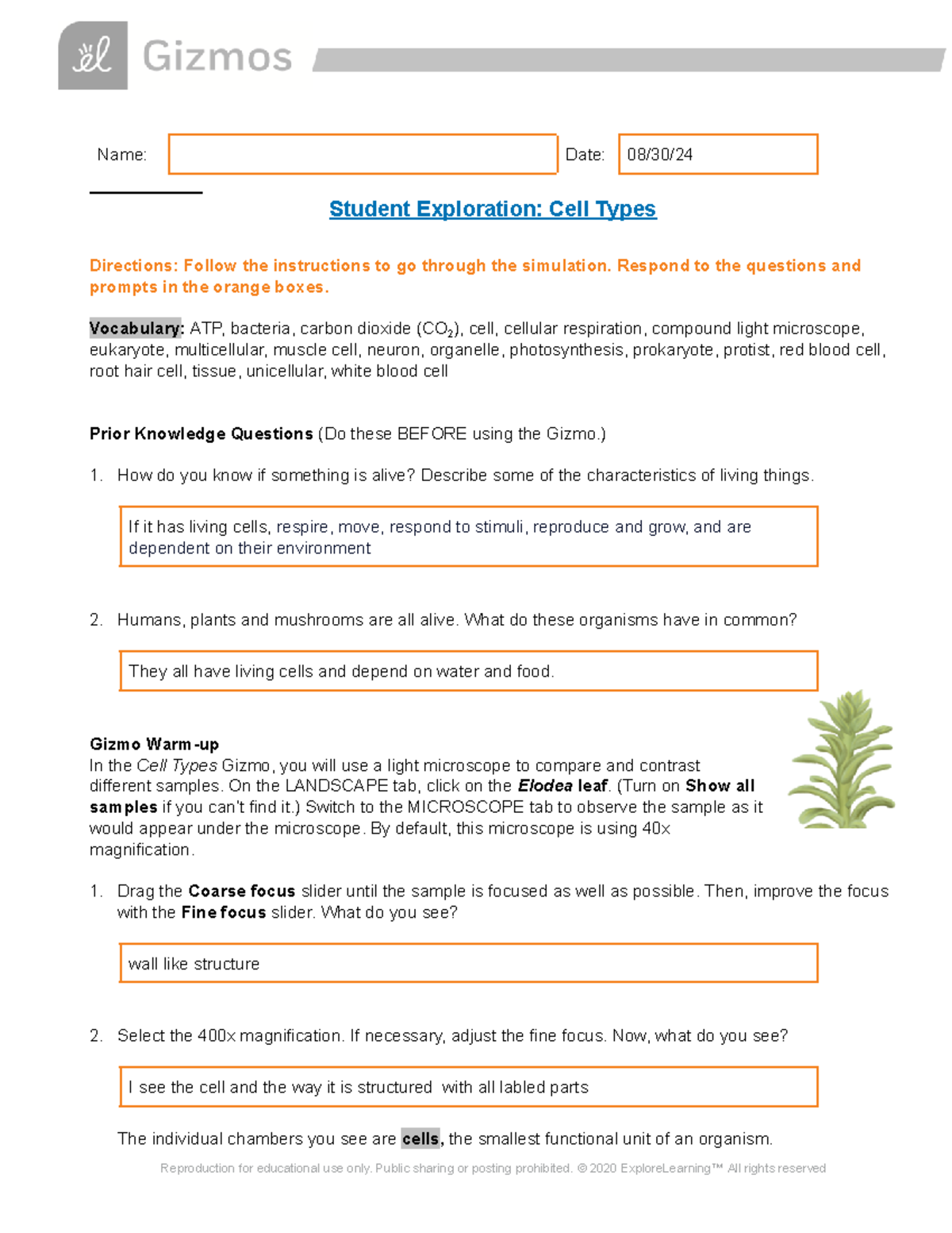 Copy of Copy of Gizmo Cell Types SE - Name: Date: 08/30/ Student ...