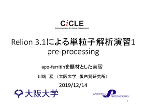 Nccat- Relion-tutorial printable - RELION tutorial Created: 11 /13/2020 ...