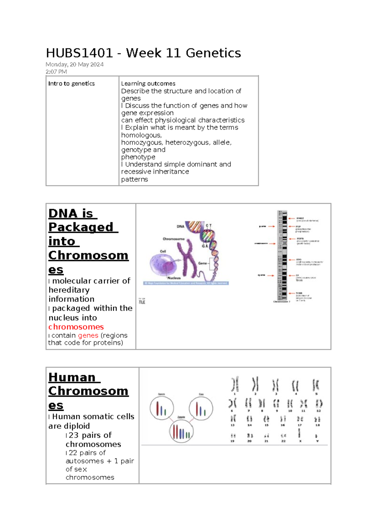 HUBS1401 Genetics - HUBS1401 - Week 11 Genetics Monday, 20 May 2024 2: ...