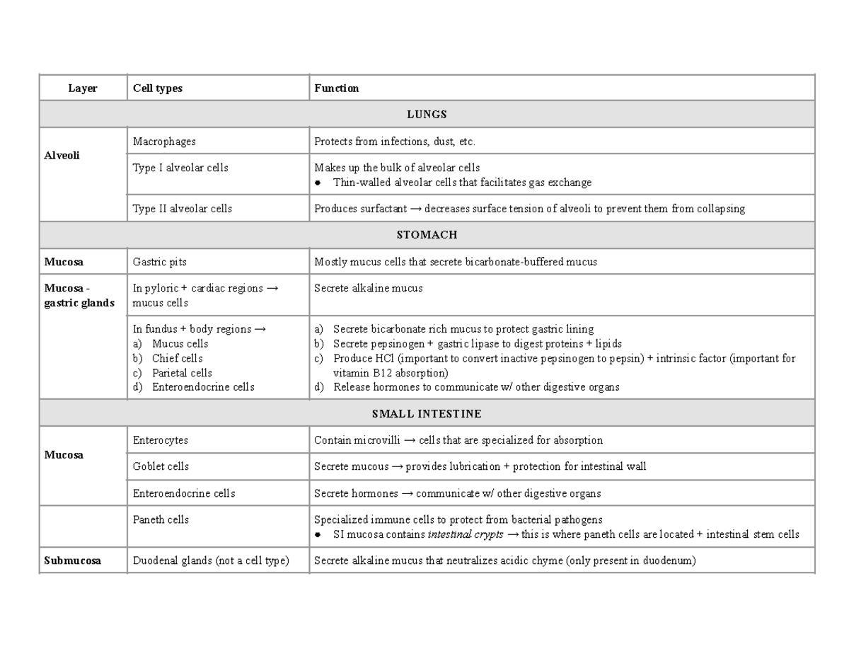 Cell types - Type I alveolar cells Makes up the bulk of alveolar cells ...