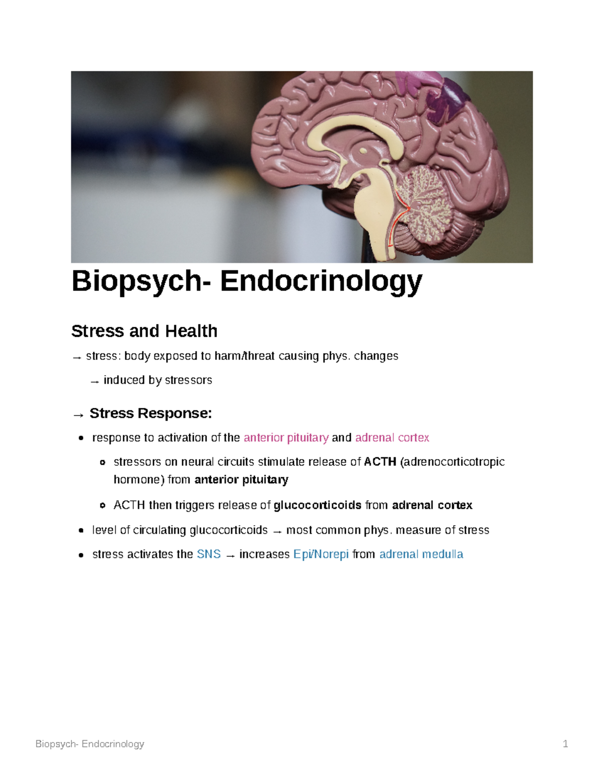 Biopsych-endocrine and immunity - Biopsych- Endocrinology Stress and ...