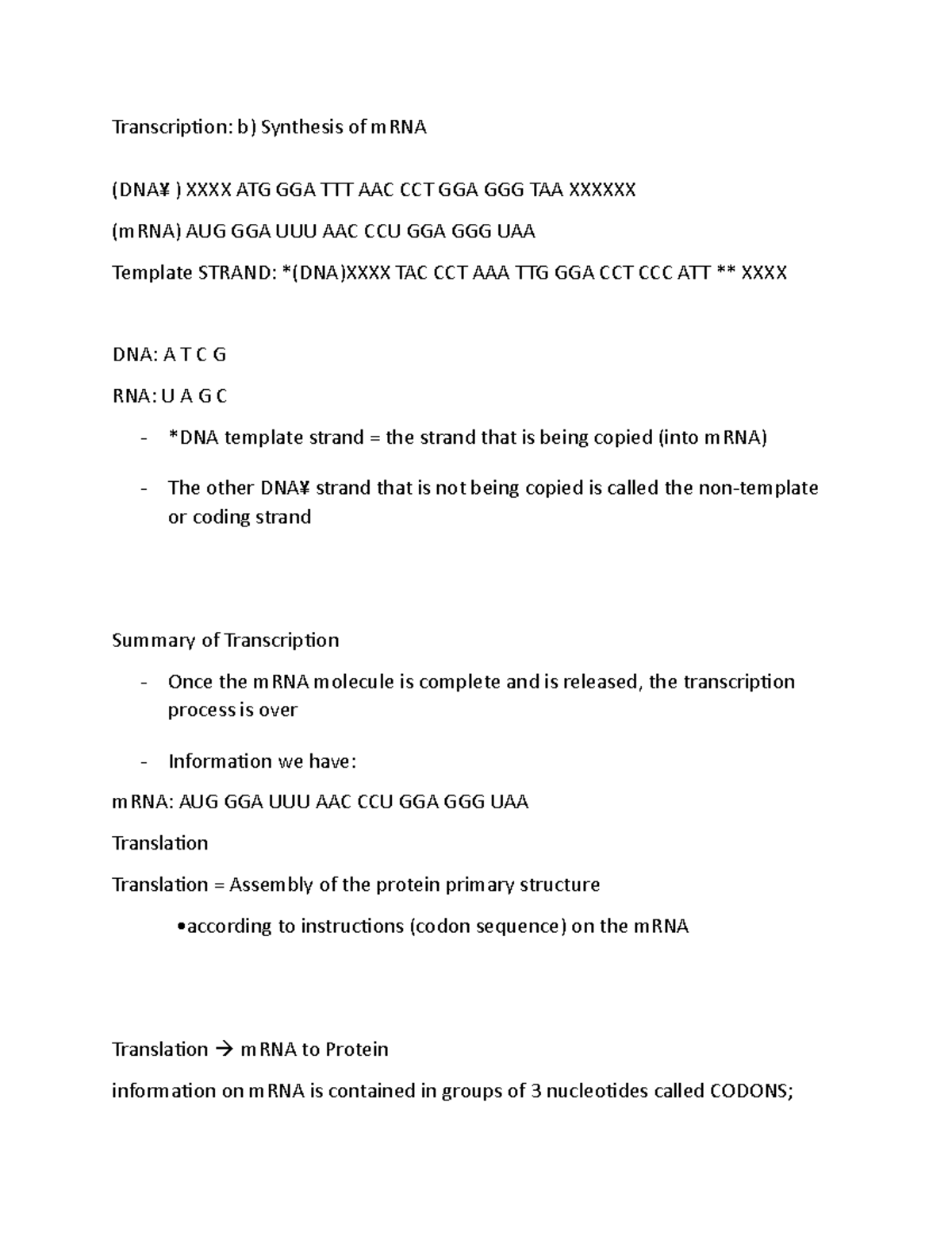 12 - Transcription - Transcription: b) Synthesis of mRNA (DNA¥ ) XXXX ...